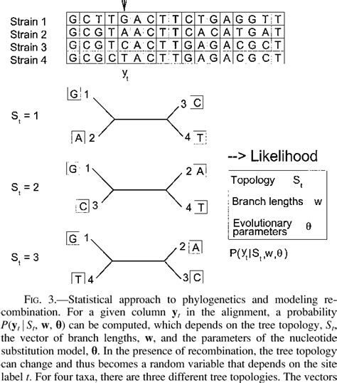 figure 3 from detecting recombination in 4 taxa dna sequence alignments with bayesian hidden