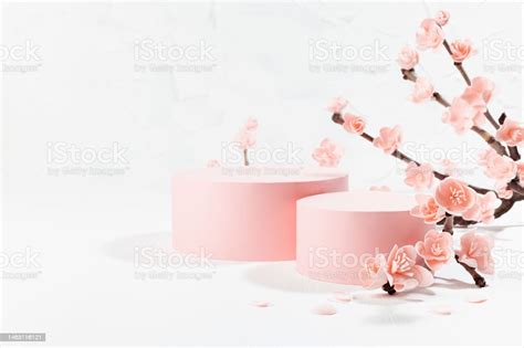 두 개의 분홍색 실린더 연단 모형과 밝은 흰색 인테리어에 햇빛에 무성한 분홍색 벚꽃 꽃의 가지가 있는 낭만적인 봄 장면 프레젠테이션 화장품 상품 브랜딩을 위한 템플릿