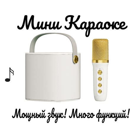 Мини караоке система с микрофоном - купить с доставкой по выгодным ...
