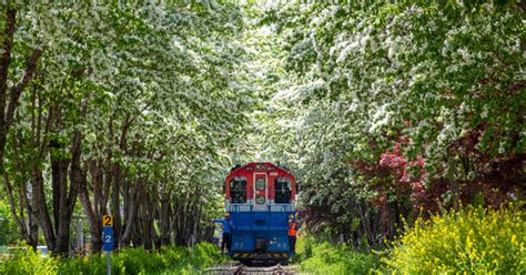 우리가 몰랐던 기차여행 국내 이색 테마열차 여행 4