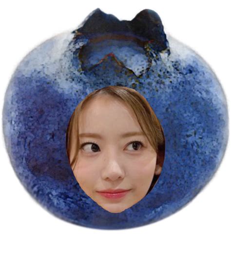 꾸라시 연예인잡담 에펨코리아