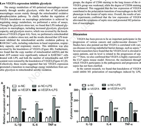 Low Expression Of Vegfa Inhibits The Expression And Secretion Of