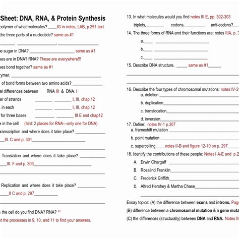 Dna And Rna Worksheet