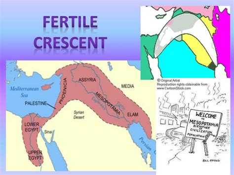 Ppt The Fertile Crescentmesopotamia Powerpoint Presentation Free