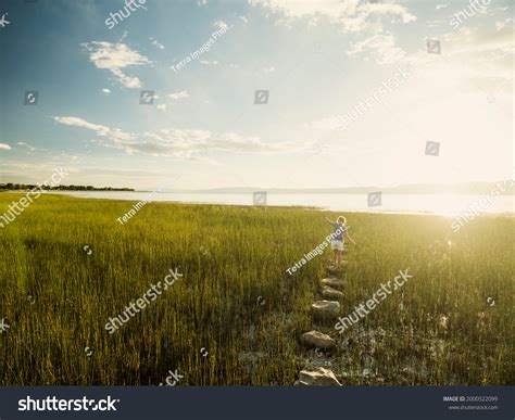 Small Girl Walking On Stepping Stock Photo Shutterstock