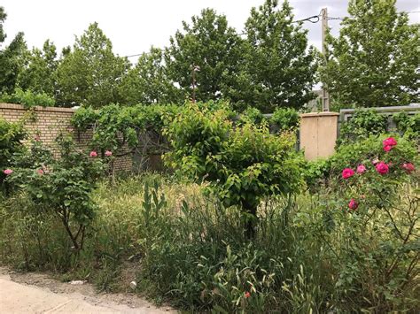 Drboshramirzaee Drboshramirzaee • Instagram Photos And Videos