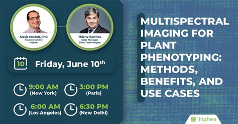Multispectral Imaging For Plant Phenotyping Methods Benefits And Use Cases Hiphen