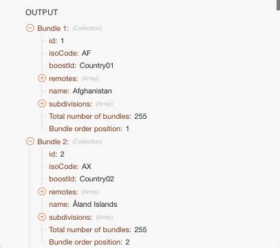 Get Whole Output JSON Bundle How To Make Community