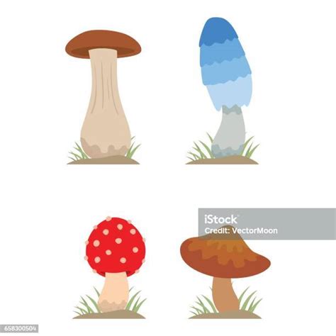 대 한 버섯 요리 음식 및 독성 자연 식사 채식 건강 한가 식용 균 류 유기 식물성 원료 성분 벡터 일러스트 레이 션 가을에 대한 스톡 벡터 아트 및 기타 이미지 Istock