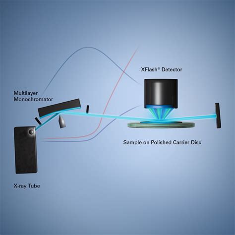 Can Txrf Be A Valuable Tool In Biomonitoring Bruker