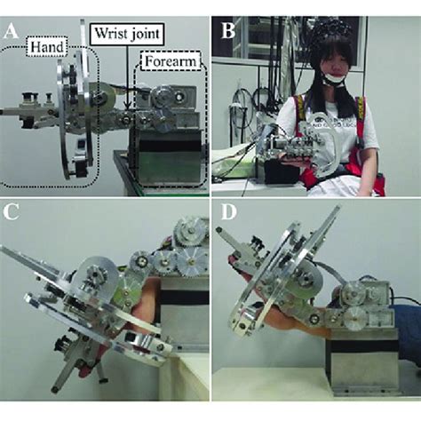 Pdf The Optimal Speed For Cortical Activation Of Passive Wrist