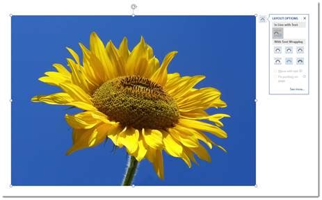 Additional Information About Outlook Emails