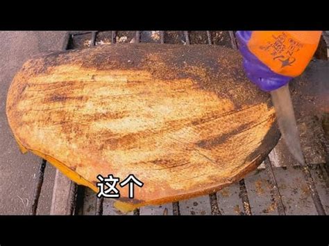 满怀期待的农家尖子火腿打开却翻车亏惨了 YouTube