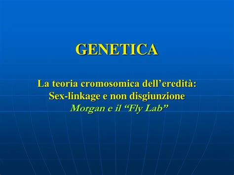 Ppt Genetica La Teoria Cromosomica Delleredità Sex Linkage E Non