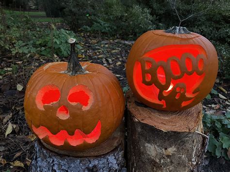 Pumpkin Carving Party Penn Today