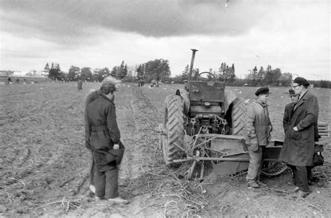 Test Of The Cardboard Sensor Ajapaik