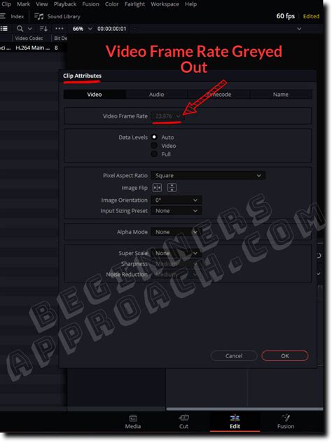 davinci resolve timeline frame rate greyed out solved
