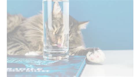 Oleg Bahin On Linkedin Code For Milk