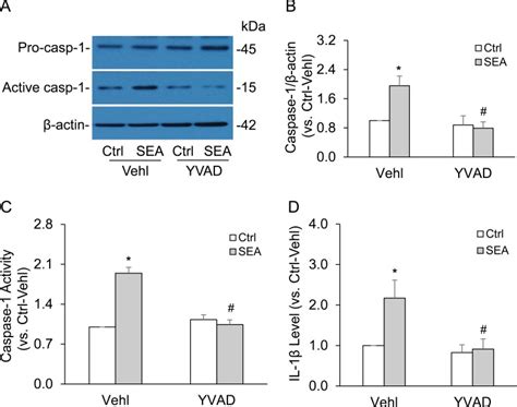 Activation Of NLRP Inflammasomes In Mouse Hepatic Stellate Cells During Schistosoma J