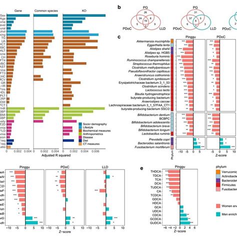 Sex Differences In Gut Microbial Composition And Functionality Download Scientific Diagram