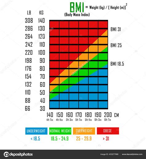 Body Mass Index Bmi Diagramm Libs Zentimetern Und Füßen Formel Stockfotografie Lizenzfreie