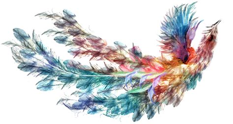 凤凰招聘 凤凰网