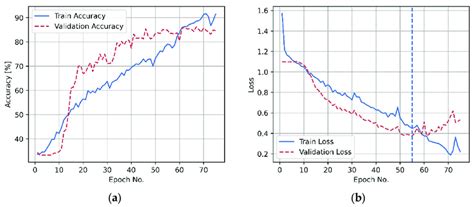 Example Learning Curves Of The Convolutional Neural Network A