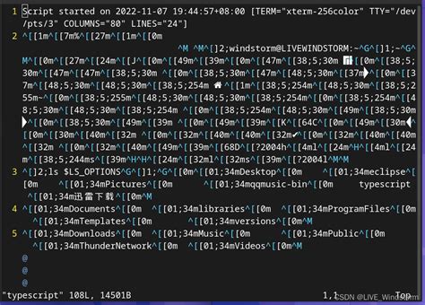 Linux 记录终端回话（记录终端操作输出）纯黑框终端中怎么回看界面上的信息 Csdn博客