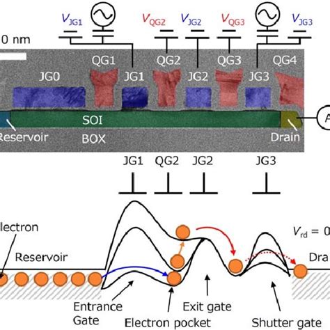 Color Online A Tem Image Of The Qd Array Cross Section Along With A