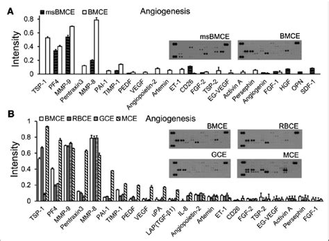 Different Mixtures Of Pro And Antiangiogenic Factors Existed In Bone