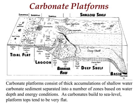 Carbonate Depositional Systems Ppt Geology Science
