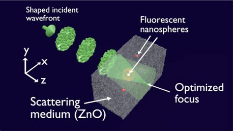 Schematic Of Our Method To Probe The 3d X Y Z Spatially