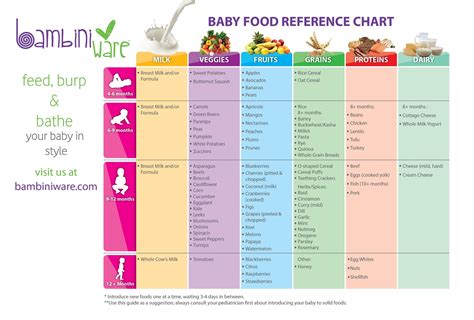 Chart For Introducing Solid Foods To Baby Chart Walls