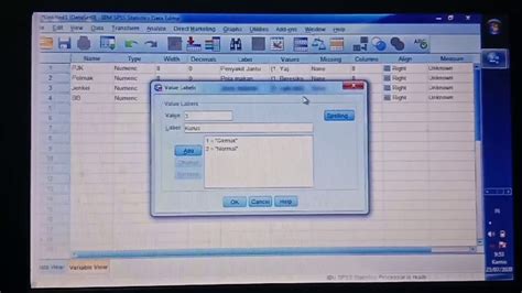 Cara Entry Data Di Aplikasi Spss Youtube