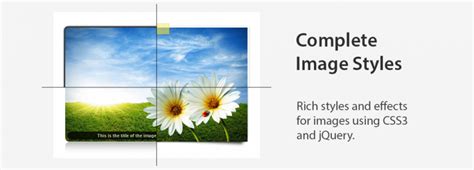 Top 9 Best Joomla Script Integration Extensions 2023 Ltheme