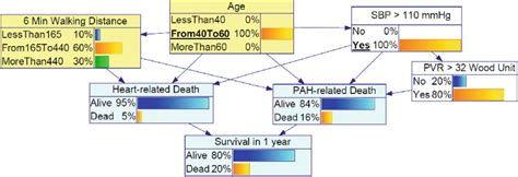 An Example Bayesian Network Predicting Survival Based On Two Risk