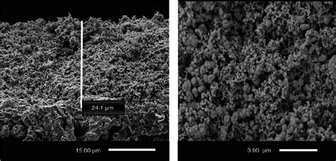 Sem Micrographs Of Cross Section Left And The Surface Right Of