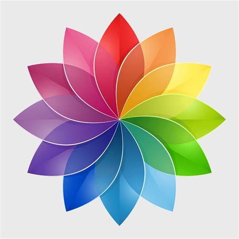 Color Wheel Flower Interior Design Color Theory Cmyk Color Palette Complementary Color Scheme