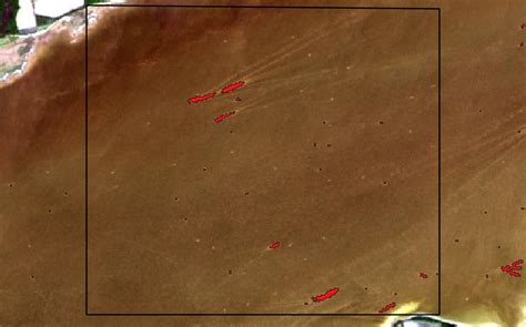 Machine Learning Landsat Sentinel Data Acgeospatial