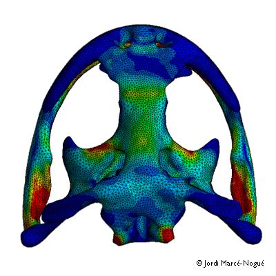 Course Finite Element Analysis Transmitting Science