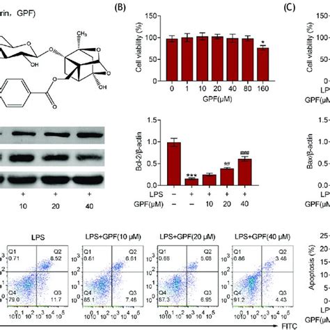 Gpf Improves Lps Induced Decrease In Cell Viability A The Chemical