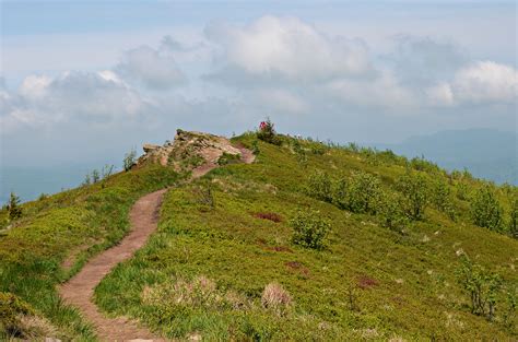 무료 이미지 경치 연안 나무 자연 보행 꼬리 목초지 언덕 모험 전망 산맥 파노라마 낭떠러지 녹색 풍경 휴일 화려한 관광 여행 고지