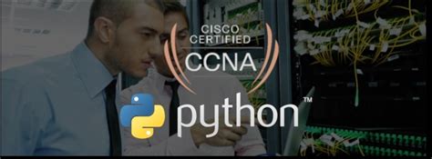 Capa 8 👨🏻‍💻 ¿sabias Que Con Scripts Realizados En Python
