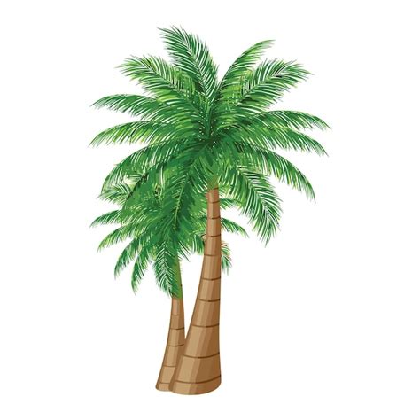 Premium Vector Various Tree Vectors Forest And Nature Concept