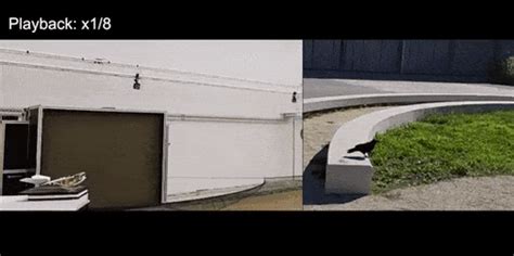 Meet Raven This Bird Inspired Drone Can Walk Hop And Jump For Take Off India Today