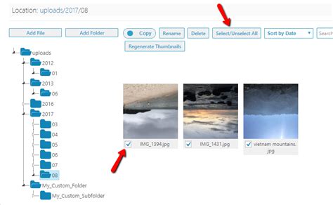 How To Move Rename And Delete Files And Folders In WP Media Library