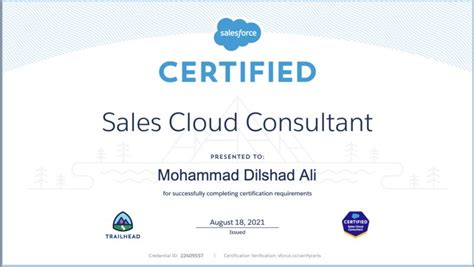 Mohammad Dilshad Ali On Linkedin Salescloud Salesforcecertified 24