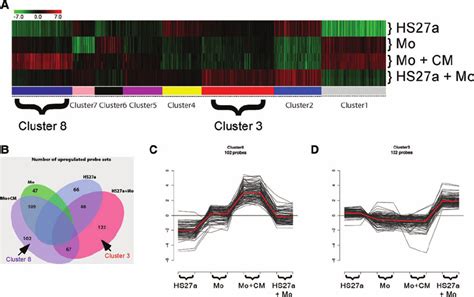 K Means Clustering Analysis Of Microarray Data Obtained From Hs27a