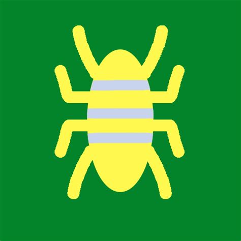 Joro Spider Life Cycle Joro Spider Information