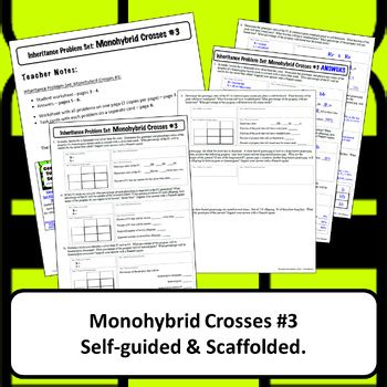 Genetic Inheritance Problem Set Monohybrid Crosses By AwesomeScience